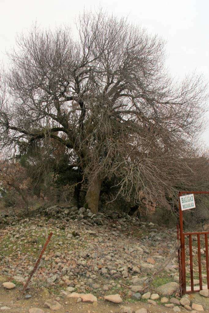 Tarihi Mekanlar Kişisel Ansiklopedi Erol ŞAŞMAZ